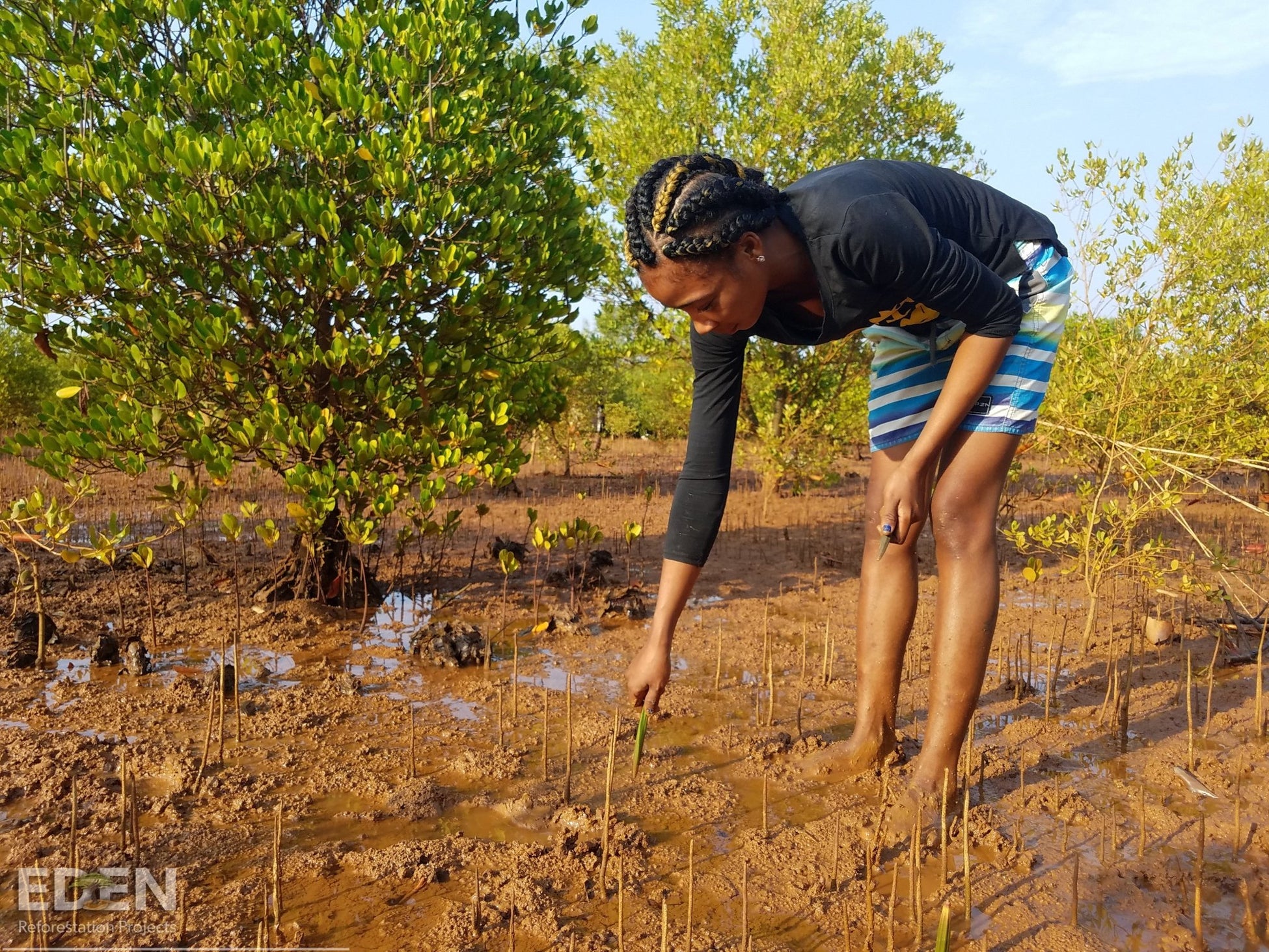 Cashmere Recycling for Carbon Offset Tree Planting – Cashmere Circle